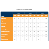 Competitive Analysis Examples
