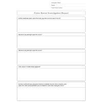 Crime Scene Report Examples