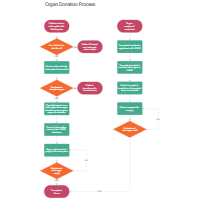 Medical Process Flowchart Examples