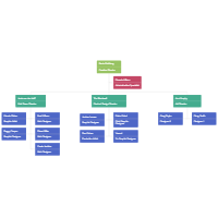 Organizational Chart Examples