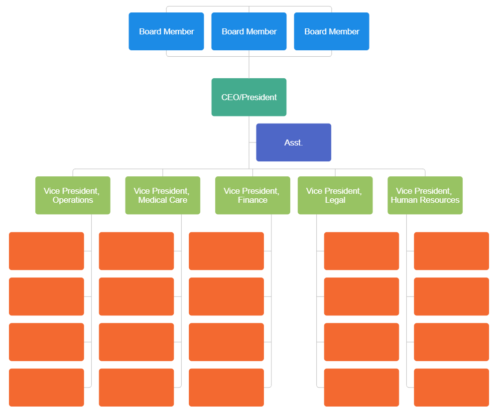 How To Create Your Hospital Organizational Chart In 4 Easy Steps ...