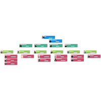 Organizational Chart Examples